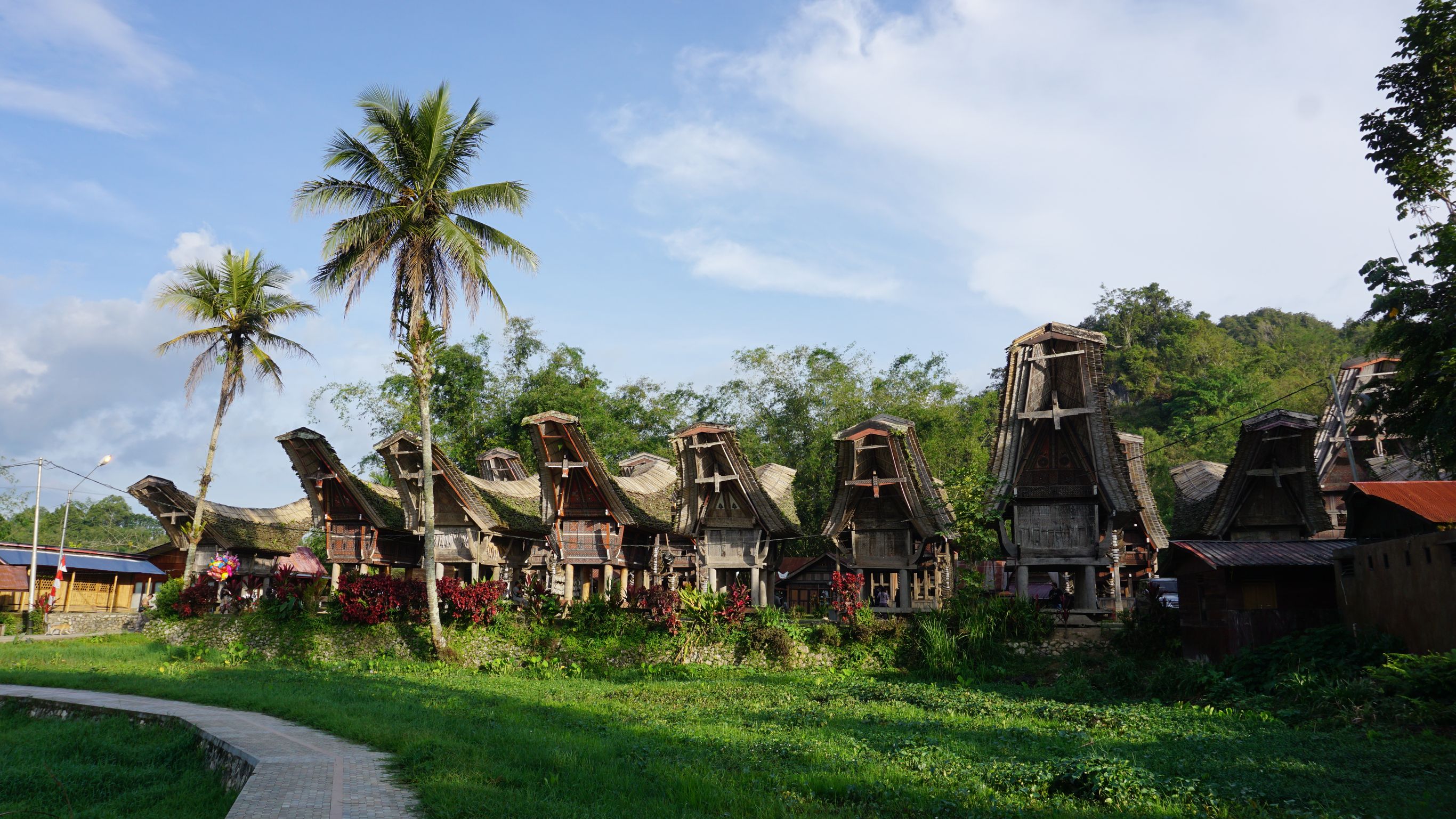 De dodencultuur van Tana Toraja op Sulawesi - Van Verre