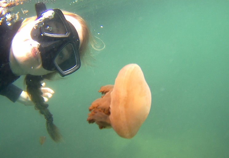 De mooiste onderwaterwereld bij Oost-Kalimantan - Van Verre